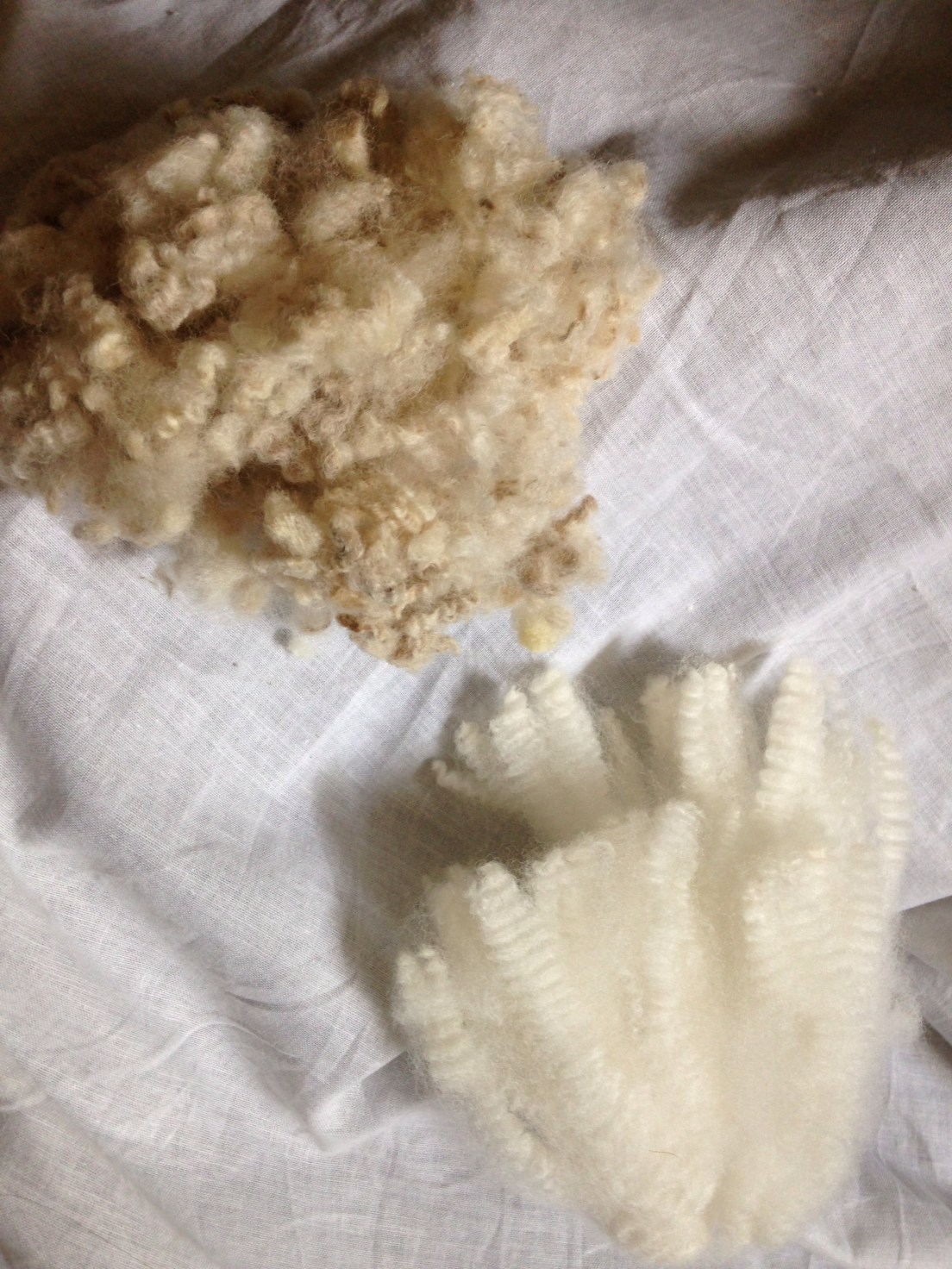 Wool nepps tutorial – How to make them yourself – everythingfiberarts